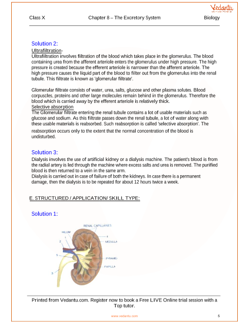 Icse Solutions For Class 10 Biology The Excretory System Class 11