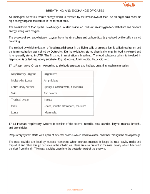 CBSE Class 11 Biology Chapter 17 - Breathing and Exchange of Gases ...