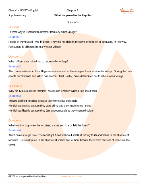 NCERT Solutions for Class 6 English A pact with the Sun Chapter 9 ...