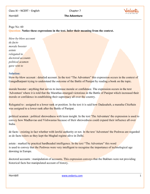 NCERT Solutions For Class 11 English Hornbill Chapter 7 The Adventure
