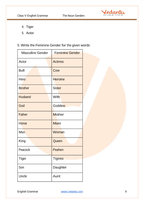 Masculine Feminine Worksheets