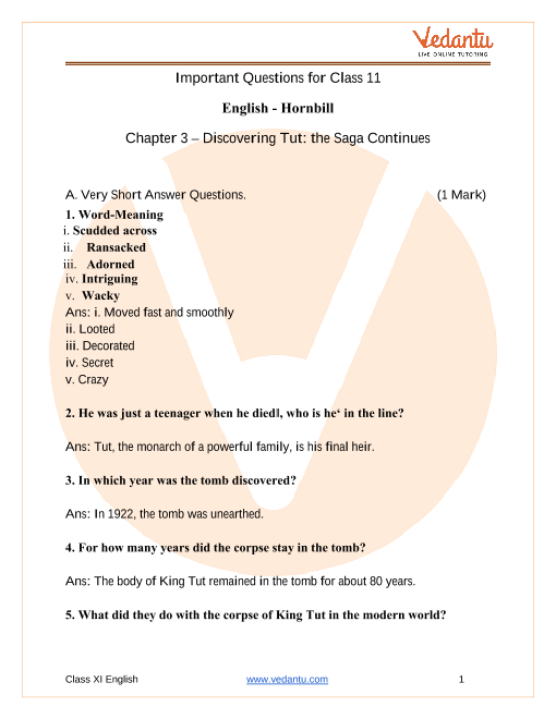 Important Questions For CBSE Class 11 English Hornbill Chapter 3