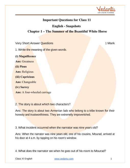 CBSE Class 11 English Important Questions On Snapshots Chapter 1 The CBSE Class 11 English Important Questions On Snapshots Chapter 1 The