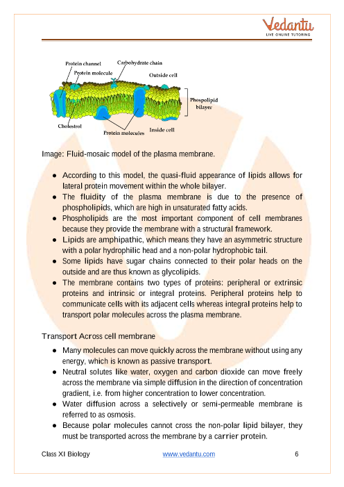 Important Notes Neet Biology Cell Structure And Function