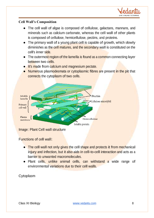 Important Notes Neet Biology Cell Structure And Function