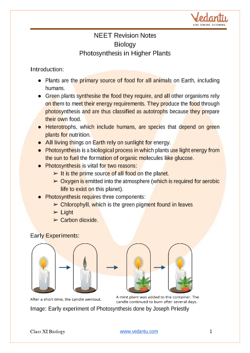 Joseph Priestley Experiment On Photosynthesis Year