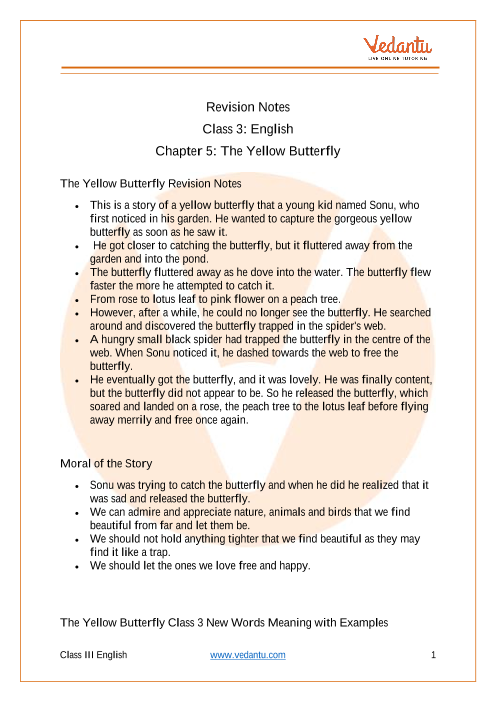 The Yellow Butterfly Class 3 Notes CBSE English Chapter 5 [PDF]