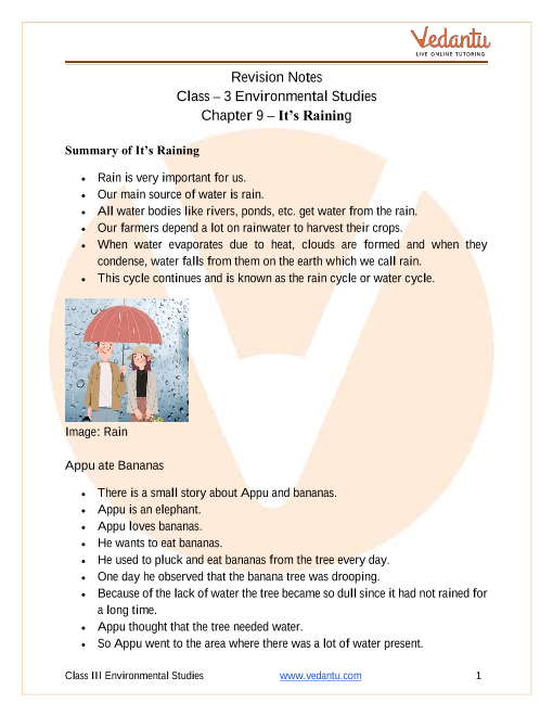 It’s Raining Class 3 Notes CBSE EVS Chapter 9 [PDF]