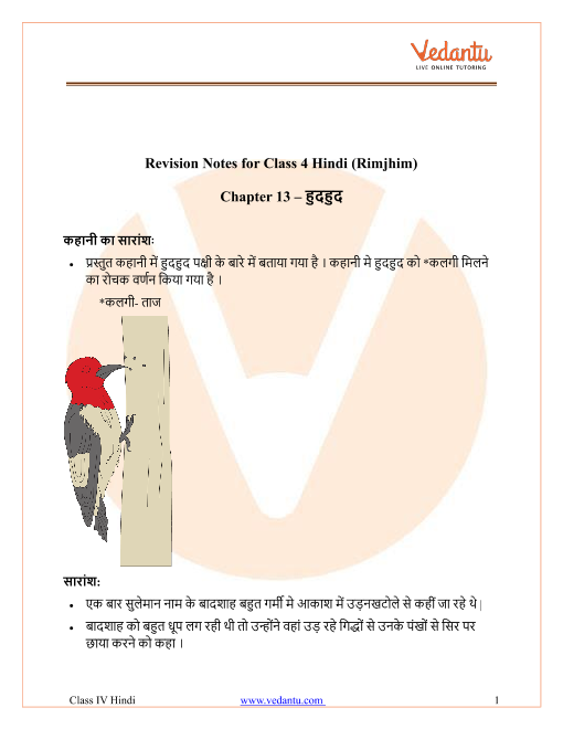 Hudhud Class 4 Notes CBSE Hindi Chapter 13 [PDF]