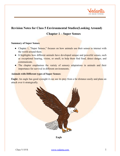 Super Senses Class 5 Notes CBSE EVS Chapter 1 PDF 
