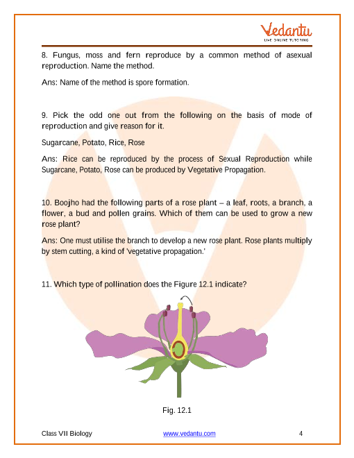 Important Questions For Cbse Class 7 Science Chapter 12 Reproduction