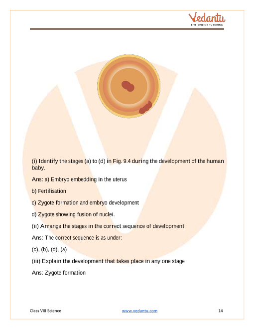 Ncert Book Class 8 Science Chapter 9 Reproduction In Animals Aglasem