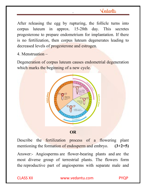 The Cell Cycle Coloring Worksheet Answers