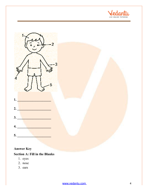 Grade 1 Science Worksheets Body Parts A2Zworksheets: Worksheets Of Our