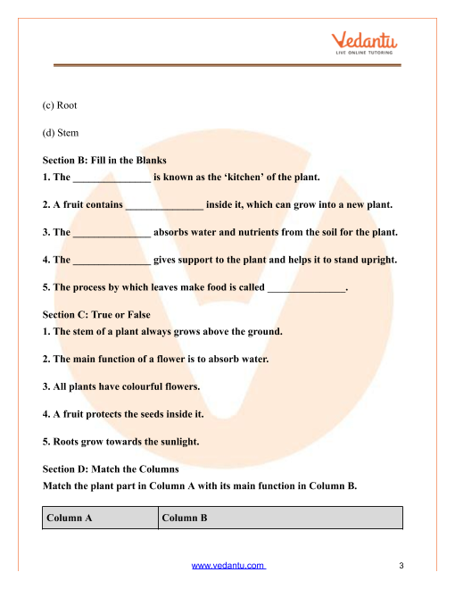 Science Grade 3 Parts Of Plants Quiz Worksheet