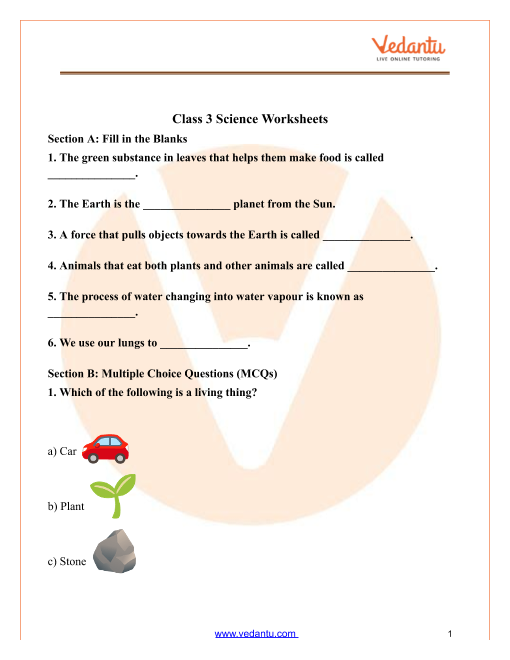Science Worksheets For 3rd Grade Pdf