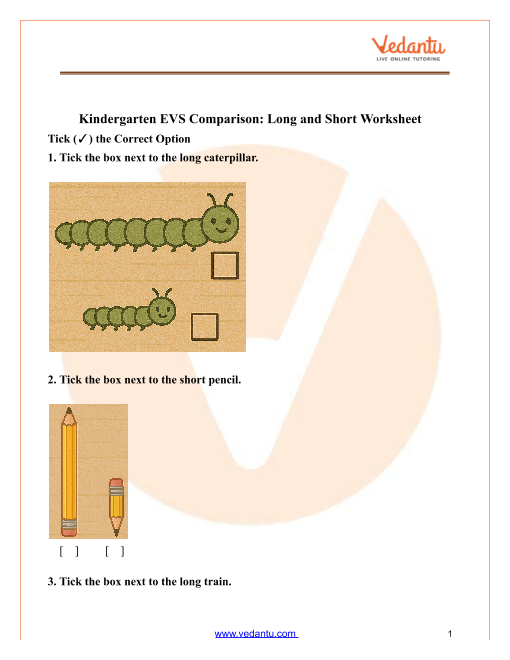 Long Vs Short Worksheet Short And Long Vowel Worksheet
