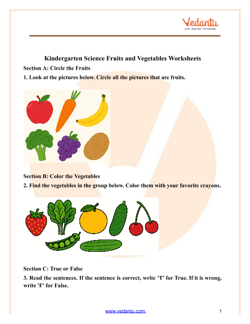 Identifying Fruits And Vegetables Worksheet Printable Matching