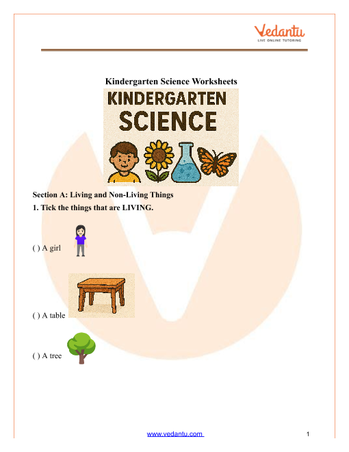 Science Worksheets For Kindergarten Free Kindergarten Worksheets