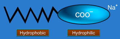 Explain cleansing action of detergents