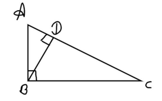 Triangle has sides 5cm 12cm and 13cm Find the leng-class-10-maths-CBSE