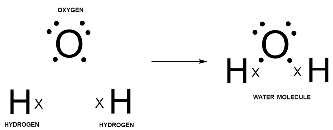 What do you understand by a lone pair of electrons? Draw the electron ...