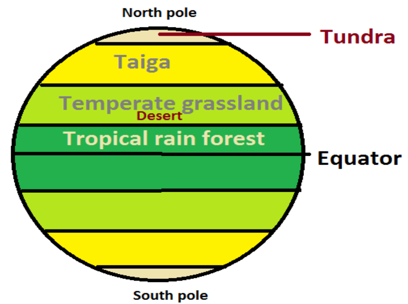 What is the correct order of existence of biomes while class 12 biology ...