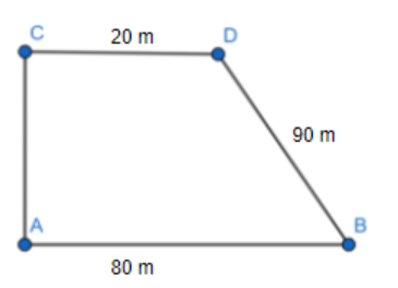 If the parallel sides of the trapezium field are 80m and 20m. These ...