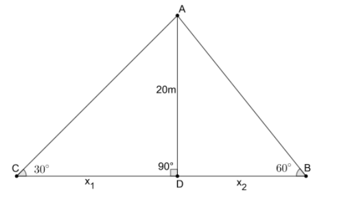 A man sitting at a height of 20m on a tall tree on class 10 maths CBSE