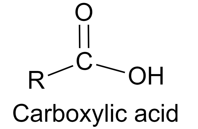 Carboxylic Acid Structure Formula Formation Video Lesson 56 OFF Carboxylic Acid Structure Formula Formation Video Lesson 56 OFF