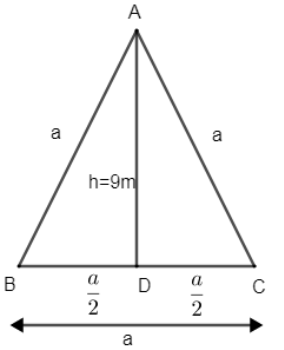 Equilateral Triangle Height