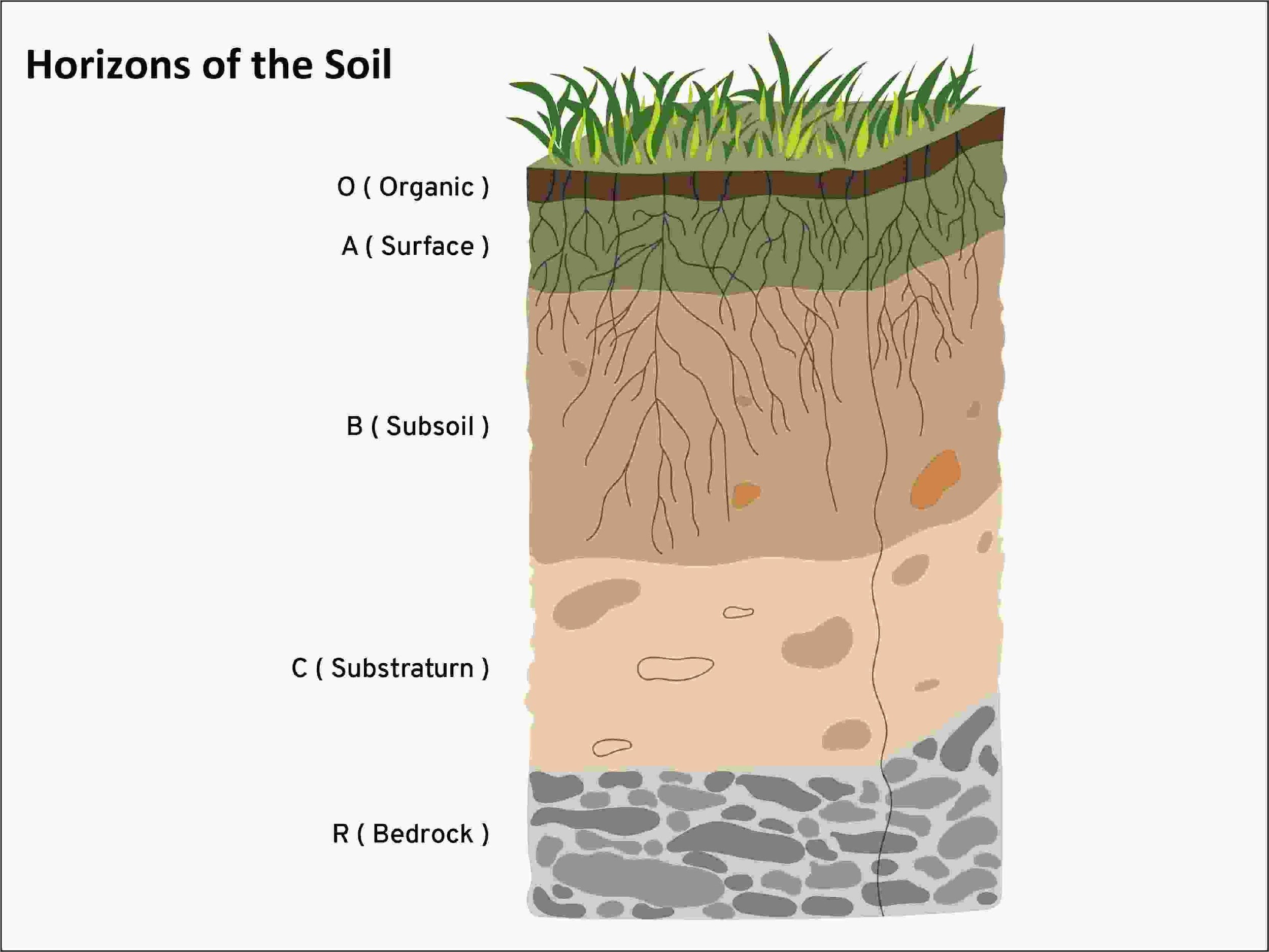 Which Of The Following Layers Of Soil Is Called A Zone Of Leaching A Which Of The Following Layers Of Soil Is Called A Zone Of Leaching A
