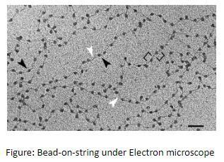 Nucleosome Beads On A String