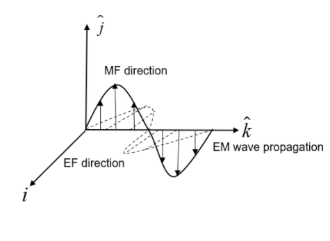 The electromagnetic waves propagate in the vector parallel to ...