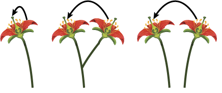 The given diagram shows two plants of the same species. Identify the ...