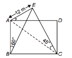 ABCD is a rectangular field A vertical lamp post of class 10 maths JEE_Main