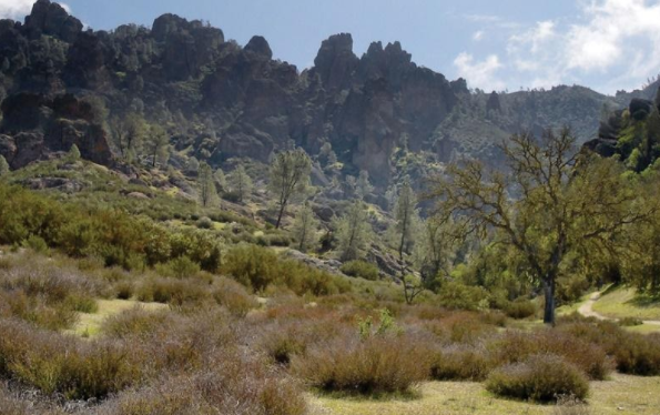 Rainfall occurs in chaparral during(A) The whole year(B) Summer(C ...