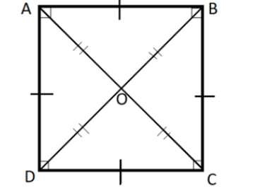 In a square \\[\\square ABCD\\], the diagonals bisect each other at ...