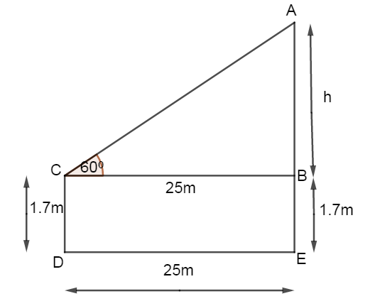 A boy 1.7 m tall is 25 m away from a tower and observes the angle of ...
