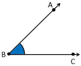 Draw rough diagrams of two angles such that they have(a) One point in ...