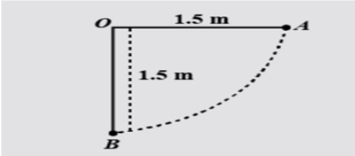 The bob of a pendulum is released from a horizontal position A as shown ...