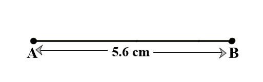 Draw a line segment $$AB = 5.6$$ cm and draw its perpendicular bisector ...