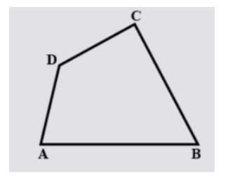 In the figure ABCD is a quadrilateral Name the pairs class 8 maths CBSE