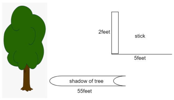 At 4:00 p.m. on a Sunday, a stick 2 feet tall casts a shadow 5 feet ...