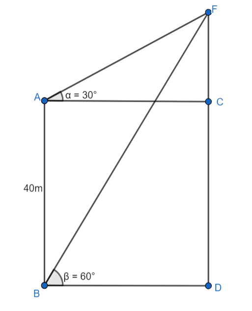 From the top and foot of a 40m high tower, the angle of elevation of ...