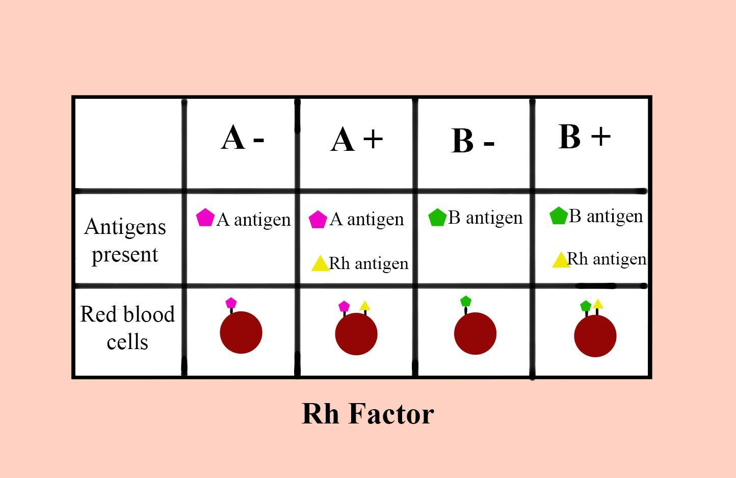What Does Rh Stand For On Thermostat At Mia Stanfield Blog What Does Rh Stand For On Thermostat At Mia Stanfield Blog
