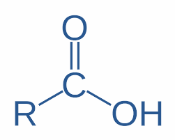 Organic Acid Functional Group Organic Chemistry Ch 1: Basic Concepts