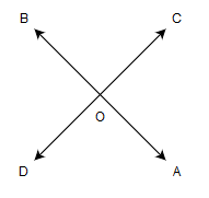 If two lines intersect, prove that the vertically opposite angles are ...