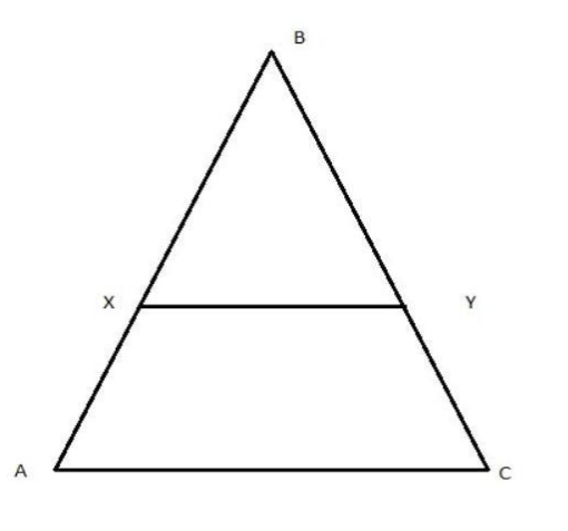 In triangle ABC, XY||AC and divides the triangle into two parts of ...
