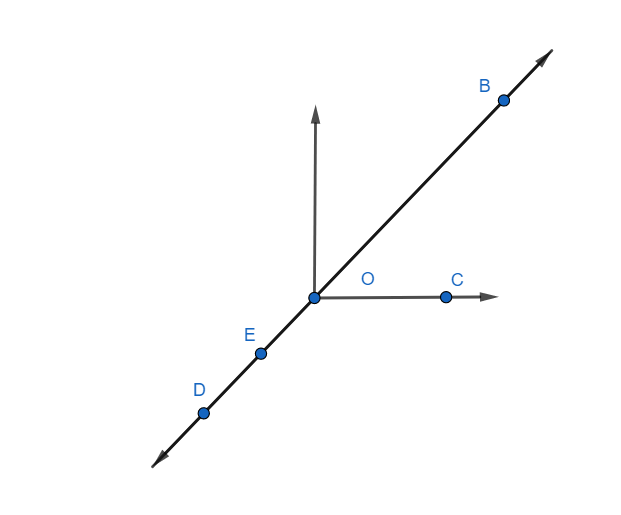 Use the following figure to name:[1] Five points[2] A line[3] Four rays ...